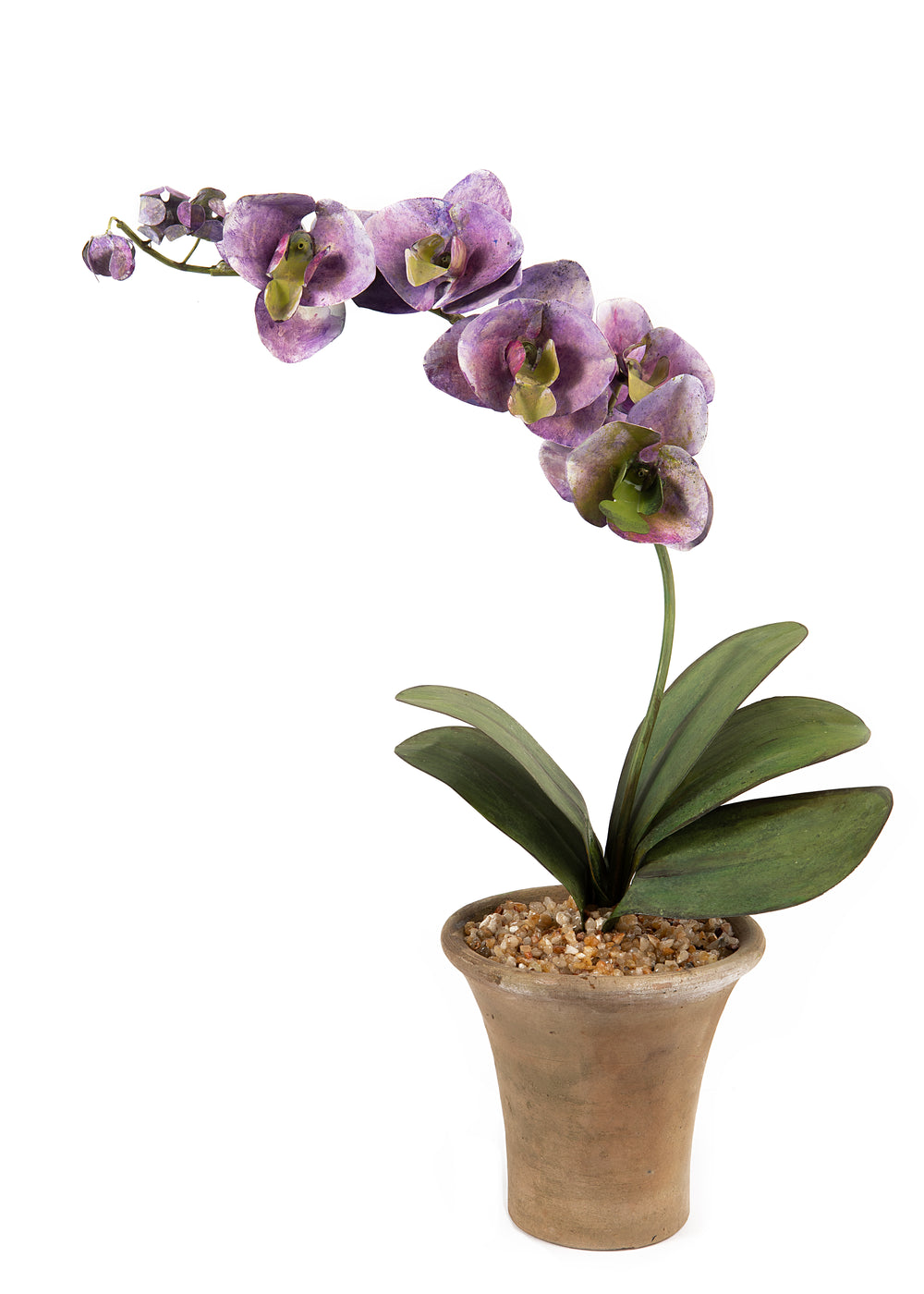 Tole Flower Standard Orchid | Over The Moon