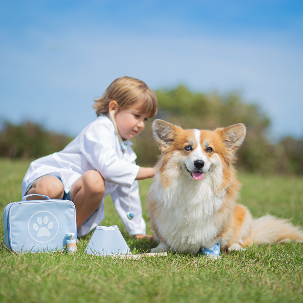 Kids Vet Set | Pretend Play | Bigjigs Toys | Over The Moon