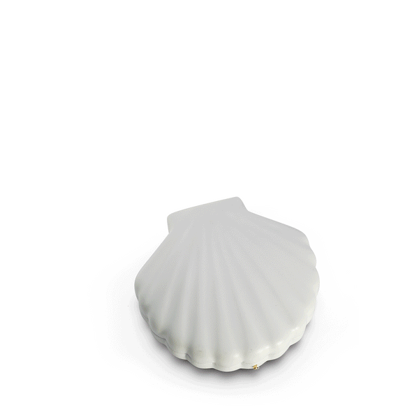 Large Shell Jewelry Storage Box in White/Blue | Over The Moon