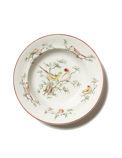 Parrot Soup Bowl | Over The Moon