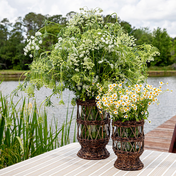 Devon Willow Hurricane | Over The Moon