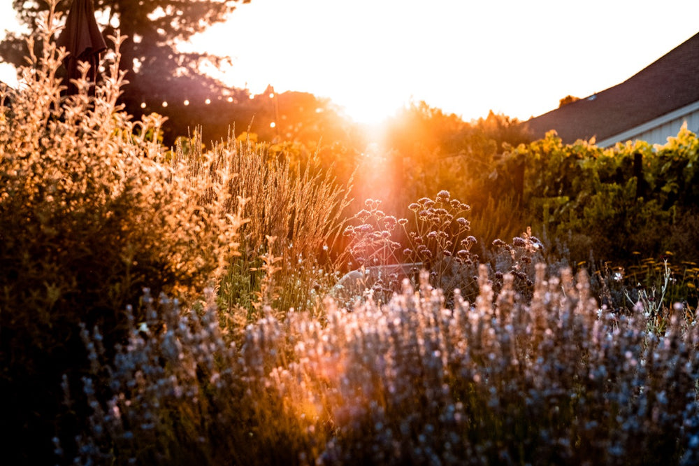 Stanly Ranch Napa, Luxury 5-Night Stay | Over The Moon